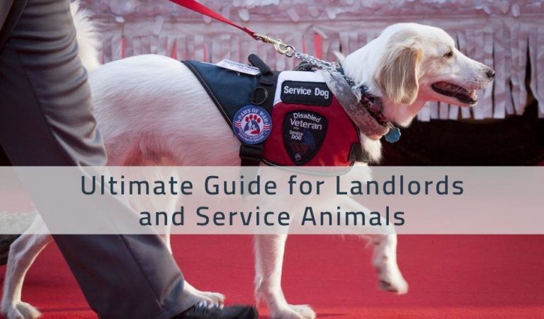 Ultimate Guide for Landlords and Service Animals