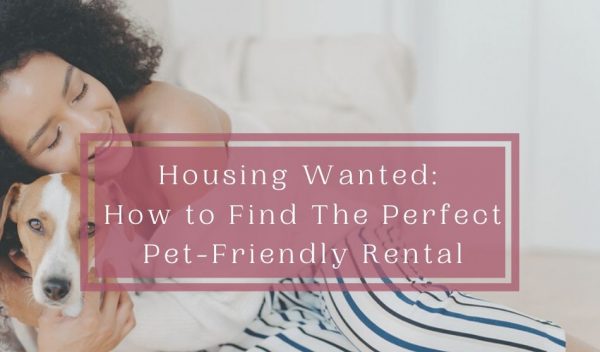 Housing Wanted: How to Find The Perfect Pet-Friendly Rental