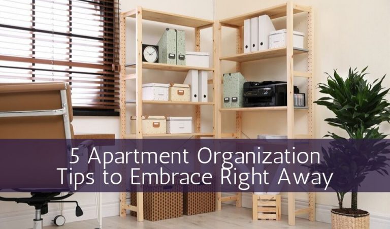 5 Apartment Organization Tips to Embrace Right Away