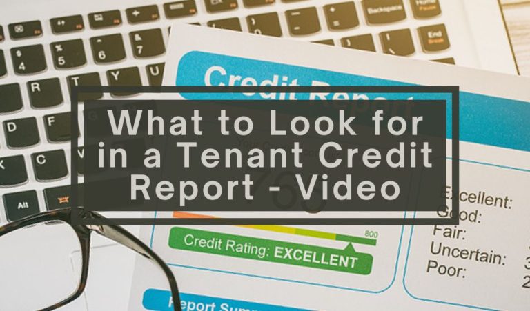 What to Look for in a Tenant Credit Report - Video
