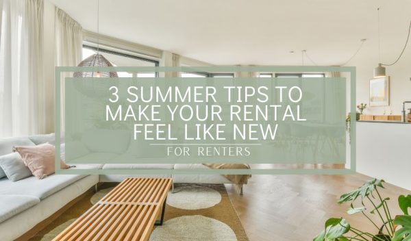 3 Summer Tips to Make Your Rental Feel Like New | For Renters